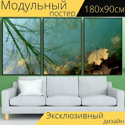 Модульный постер "Вода, листья, тень" 180 x 90 см. для интерьера