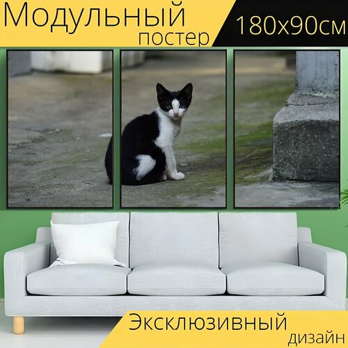 Модульный постер "Кошка, гильнянги, котенок" 180 x 90 см. для интерьера