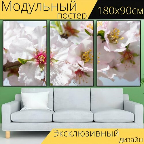 Модульный постер "Цветы миндаля, розовые цветы, весеннее цветение" 180 x 90 см. для интерьера
