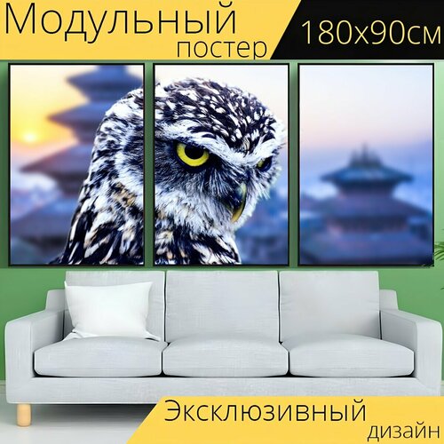 Модульный постер "Сова, город, города" 180 x 90 см. для интерьера