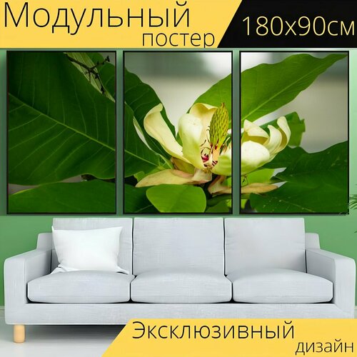 Модульный постер "Магнолия, цветок, весна" 180 x 90 см. для интерьера
