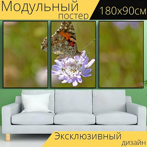 Модульный постер "Бабочка, дикий цветок, сосать" 180 x 90 см. для интерьера