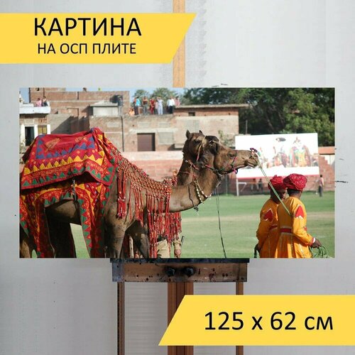 Картина на ОСП 125х62 см. "Джайпур, раджастхан, верблюды" горизонтальная, для интерьера, с креплениями