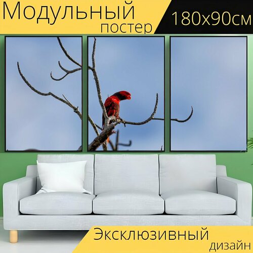 Модульный постер "Красная птица, маркетинговая программа канала, тропический" 180 x 90 см. для интерьера