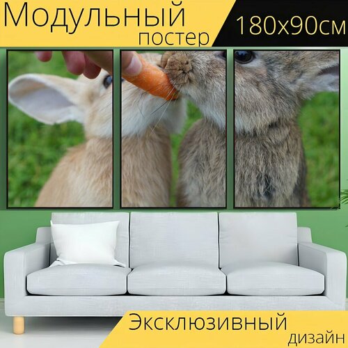 Модульный постер "Кролики, волк вниз, морковь" 180 x 90 см. для интерьера