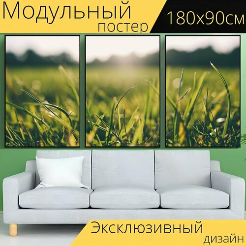 Модульный постер "Трава, утро, роса" 180 x 90 см. для интерьера