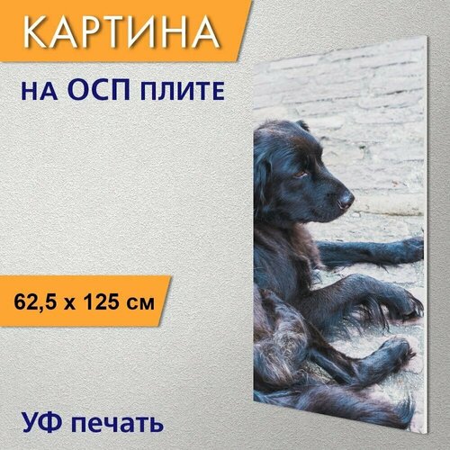 Вертикальная картина на ОСП "Черный лабрадор, собака, лабрадор" 62x125 см. для интерьериа