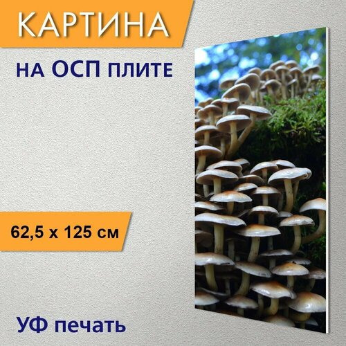 Вертикальная картина на ОСП "Гриб, лесные грибы, падение" 62x125 см. для интерьериа