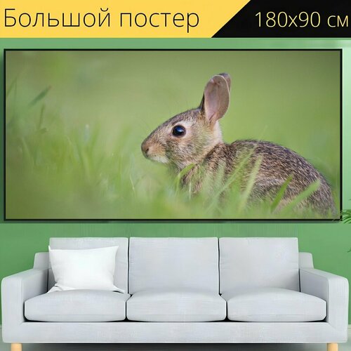 Большой постер "Восхитительный, кролик, животное" 180 x 90 см. для интерьера