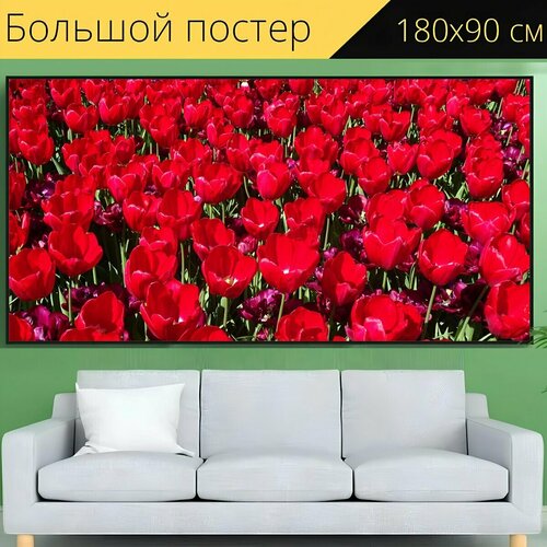 Большой постер "Тюльпаны, весна, цветы" 180 x 90 см. для интерьера