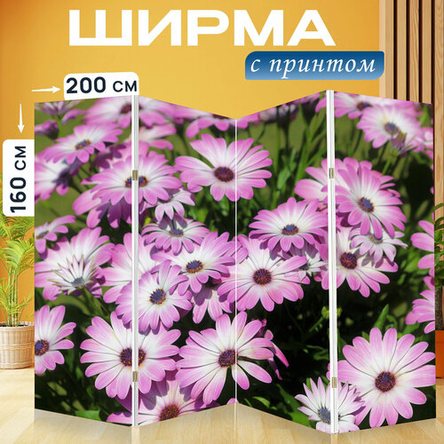 Ширма перегородка с принтом "Маргаритка, цветочный куст, цветок" на холсте - 200x160 см. для зонирования, раскладная