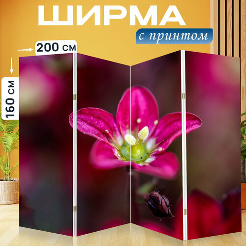Ширма перегородка с принтом "Цветок, цвести, весна" на холсте - 200x160 см. для зонирования, раскладная