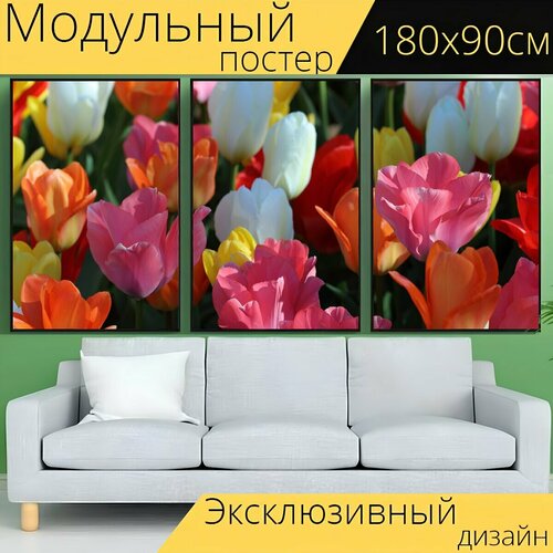 Модульный постер "Тюльпаны, сад, ботанический" 180 x 90 см. для интерьера
