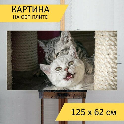 Картина на ОСП 125х62 см. "Замазка, кошки, котенок" горизонтальная, для интерьера, с креплениями