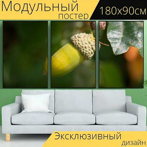 Модульный постер "Жёлудь, природа, зеленый" 180 x 90 см. для интерьера