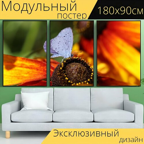 Модульный постер "Бабочка, цветы, лепестки" 180 x 90 см. для интерьера