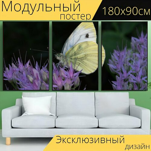 Модульный постер "Бабочка, цветы, опыление" 180 x 90 см. для интерьера