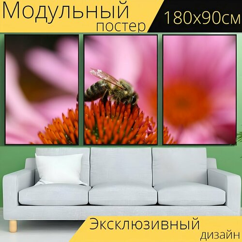 Модульный постер "Насекомое, цветок, пчела" 180 x 90 см. для интерьера
