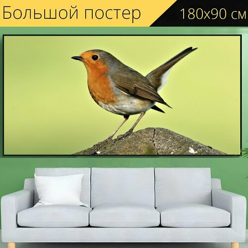 Большой постер "Робин, птица, камень" 180 x 90 см. для интерьера