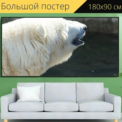 Большой постер "Полярный медведь, голова, нести" 180 x 90 см. для интерьера