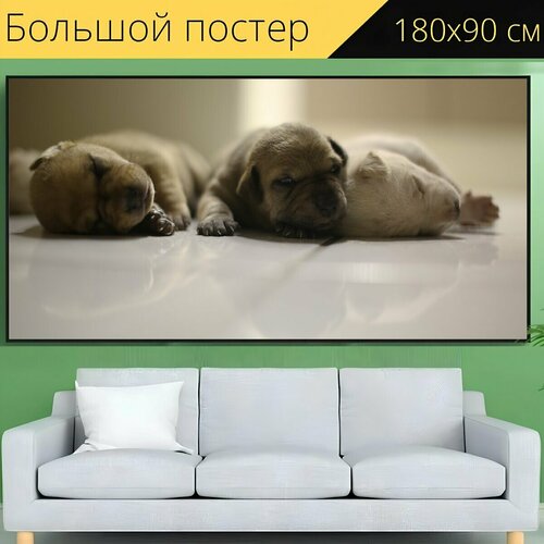 Большой постер "Собаки, щенки, милый" 180 x 90 см. для интерьера