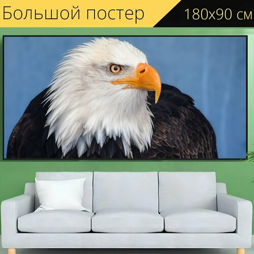 Большой постер "Белоголовый орлан, орел, ящер" 180 x 90 см. для интерьера