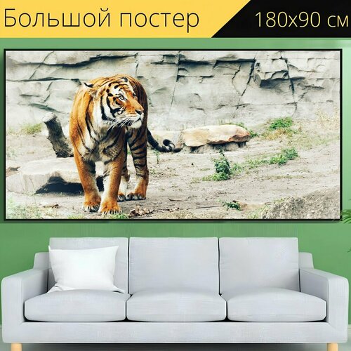 Большой постер "Тигр, животное, азия" 180 x 90 см. для интерьера