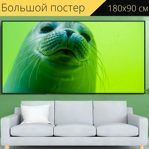Большой постер "Уплотнения, тюлень, северное море" 180 x 90 см. для интерьера