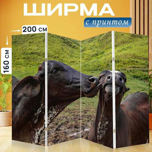 Ширма перегородка с принтом "Корова, животные, ферма" на холсте - 200x160 см. для зонирования, раскладная