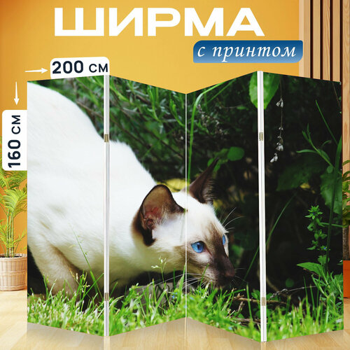 Ширма перегородка с принтом "Кошка, сиамская кошка, сиамский" на холсте - 200x160 см. для зонирования, раскладная