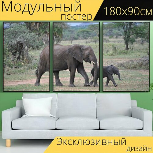 Модульный постер "Слон, младенец, танзания" 180 x 90 см. для интерьера