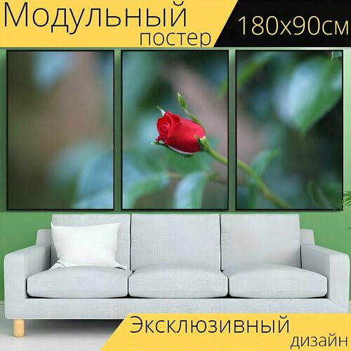 Модульный постер "Роза, цветок, флора" 180 x 90 см. для интерьера