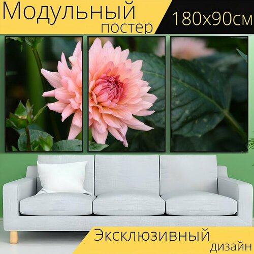Модульный постер "Цветок, завод, ботаника" 180 x 90 см. для интерьера