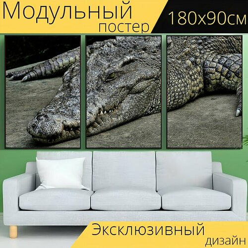 Модульный постер "Крокодил, аллигатор, гад" 180 x 90 см. для интерьера
