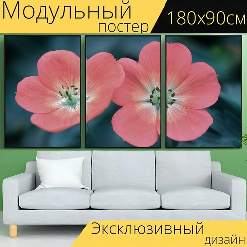 Модульный постер "Розовый, цветок, природа" 180 x 90 см. для интерьера