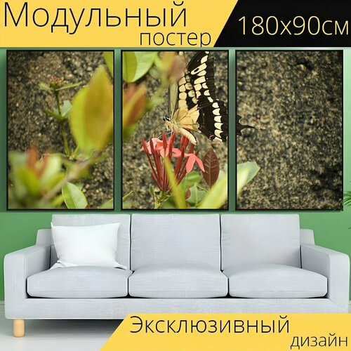 Модульный постер "Бабочка, природа, насекомые" 180 x 90 см. для интерьера