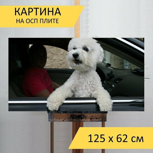 Картина на ОСП 125х62 см. "Собака, щенок, жи" горизонтальная, для интерьера, с креплениями