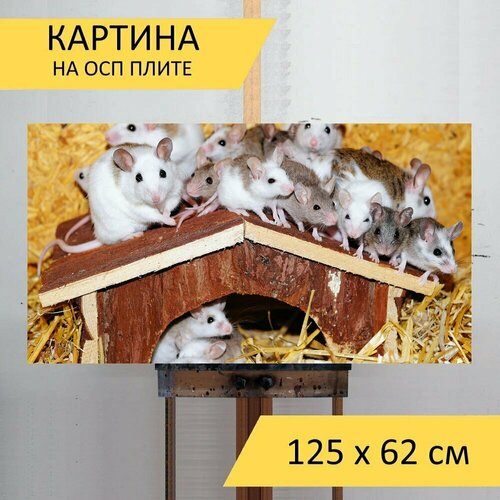 Картина на ОСП 125х62 см. "Много сосков мышей, мышей, дом" горизонтальная, для интерьера, с креплениями