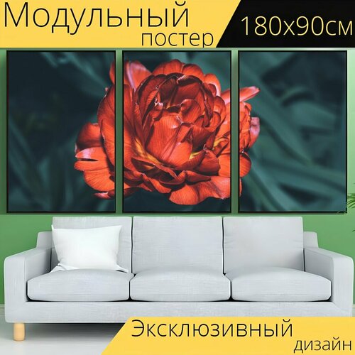 Модульный постер "Цветок, красный цветок, красивый цветок" 180 x 90 см. для интерьера