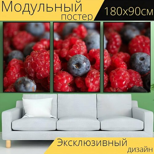 Модульный постер "Малина, черника, ягода" 180 x 90 см. для интерьера