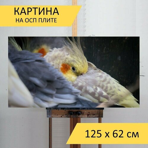 Картина на ОСП 125х62 см. "Корелла, попугай, птица" горизонтальная, для интерьера, с креплениями