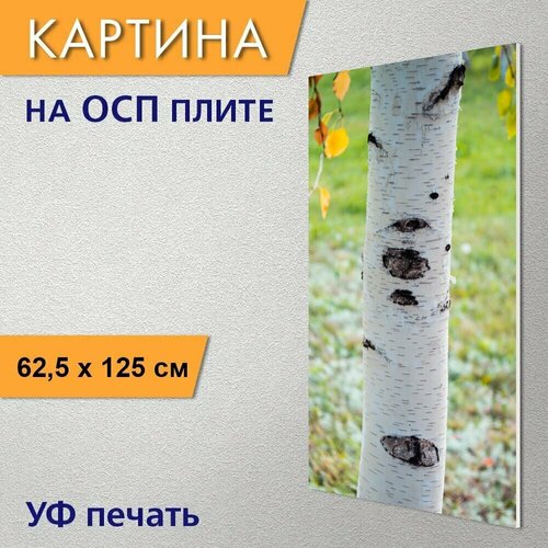 Вертикальная картина на ОСП "Астана, береза, лето" 62x125 см. для интерьериа