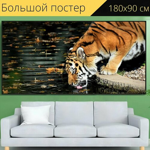 Большой постер "Тигр, хищник, напиток" 180 x 90 см. для интерьера