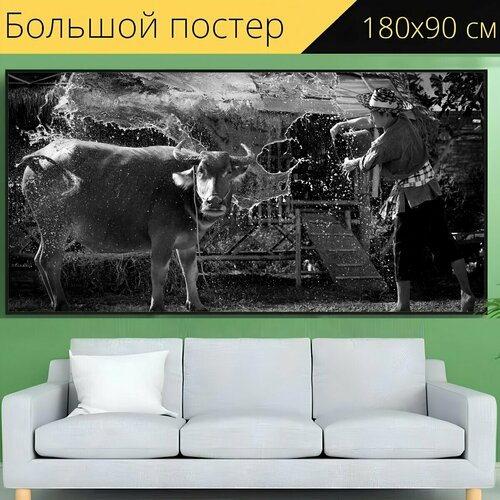 Большой постер "Тайский, фермер, буйвол" 180 x 90 см. для интерьера