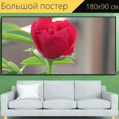 Большой постер "Красная роза цветок, роза, розы" 180 x 90 см. для интерьера