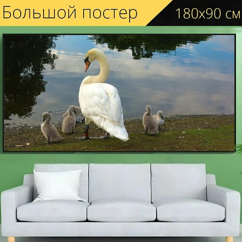 Большой постер "Лебедь, белый лебедь, птица" 180 x 90 см. для интерьера