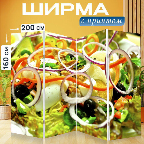 Ширма перегородка с принтом "Салатная тарелка, салат, витамины" на холсте - 200x160 см. для зонирования, раскладная