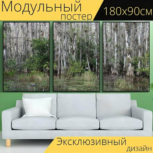 Модульный постер "Флорида, лес, природа" 180 x 90 см. для интерьера