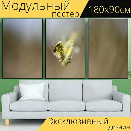 Модульный постер "Пчела, насекомое, сережка" 180 x 90 см. для интерьера