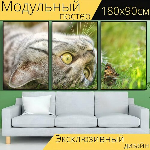 Модульный постер "Кот, бабочка, домашняя кошка" 180 x 90 см. для интерьера